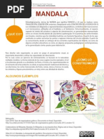 Mándala como Organizador Gráfico | PDF | Arte