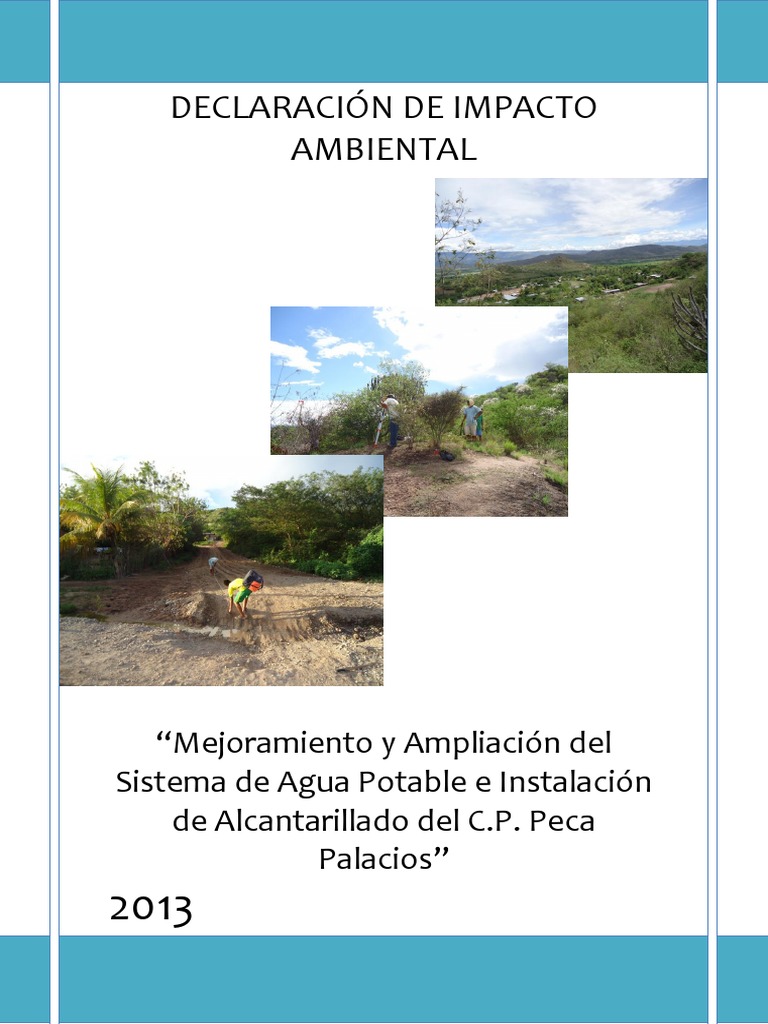Declaracion de Impacto Ambiental | PDF | Evaluación de impacto ...
