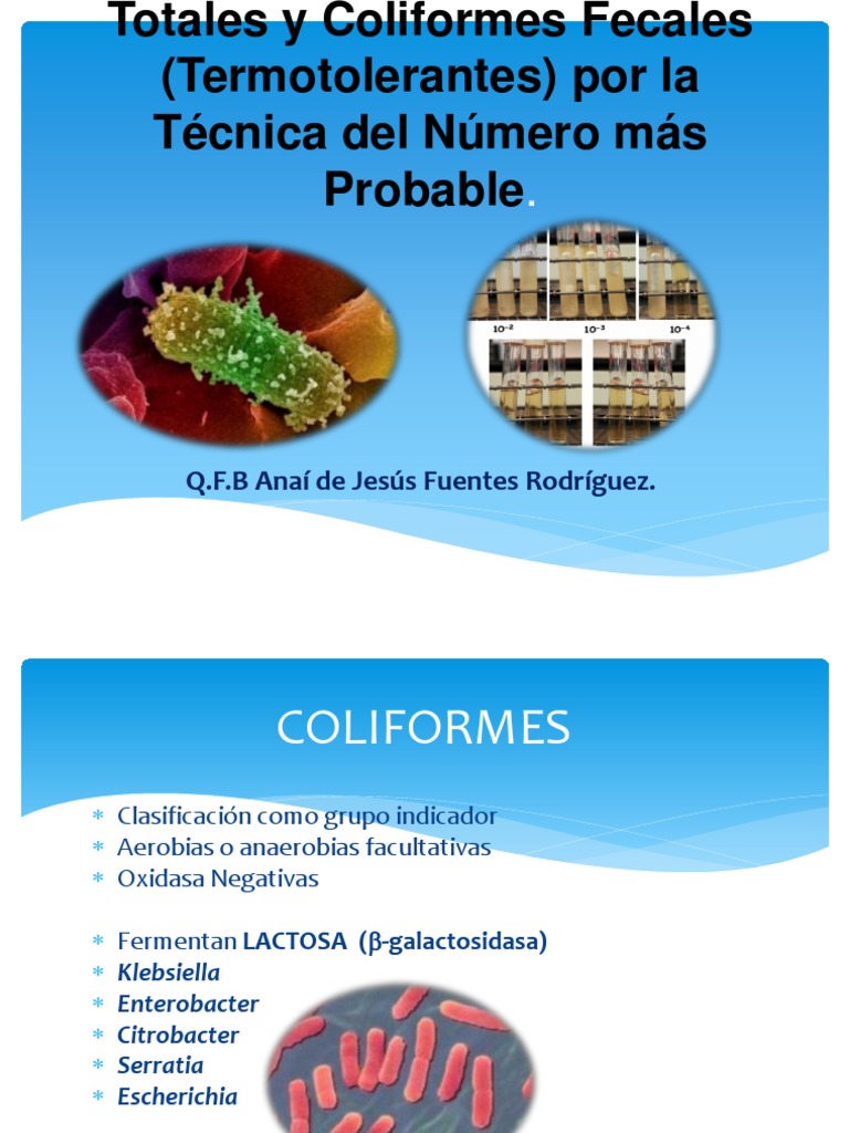 Detección de Coliformes Totales y Coliformes Fecales | PDF | Procariota ...