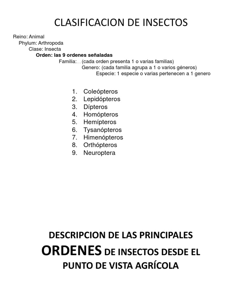 2-Ordenes de Insectos | Insectos | Hexápodos