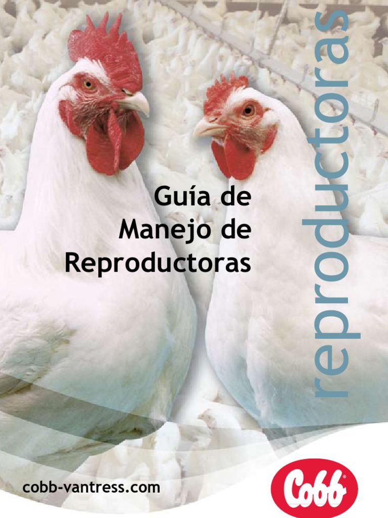 Cobb - Breeder 500 MGMT Guide 2008 | PDF | Aves | Huevo como alimento