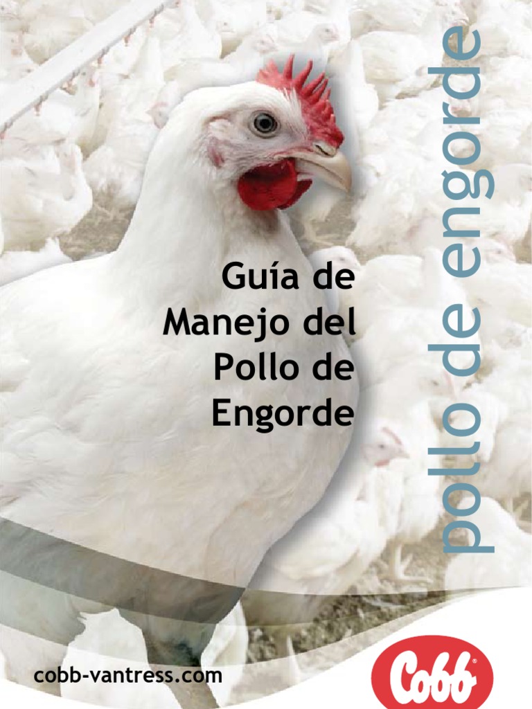 Cobb - Broiler MGMT Guide 2008 | PDF | Termorregulación | Caldera