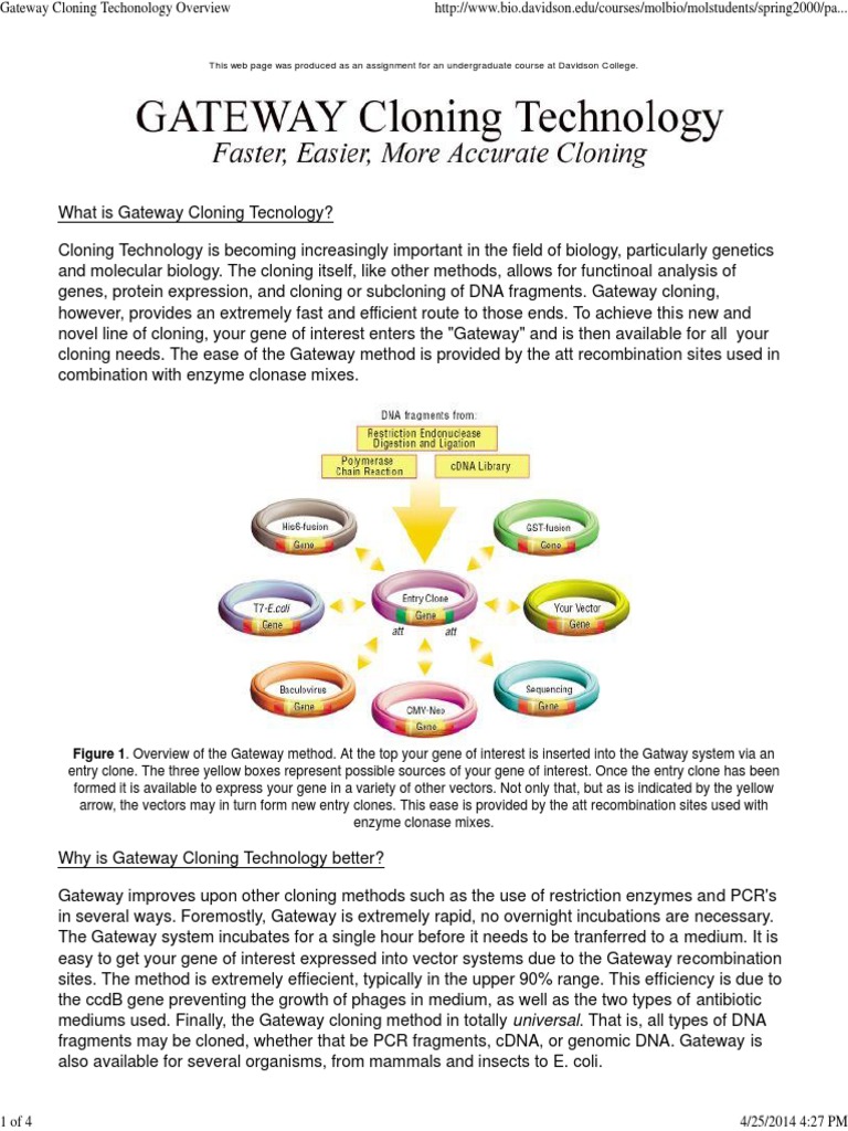 Gateway Cloning Techonology Overview | PDF | Molecular Cloning | Plasmid