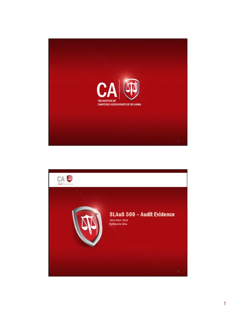 Audit Evidence Guide for Auditors | PDF | Audit | Business Economics