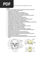 Condrogénesis y Crecimiento del Cartílago | PDF