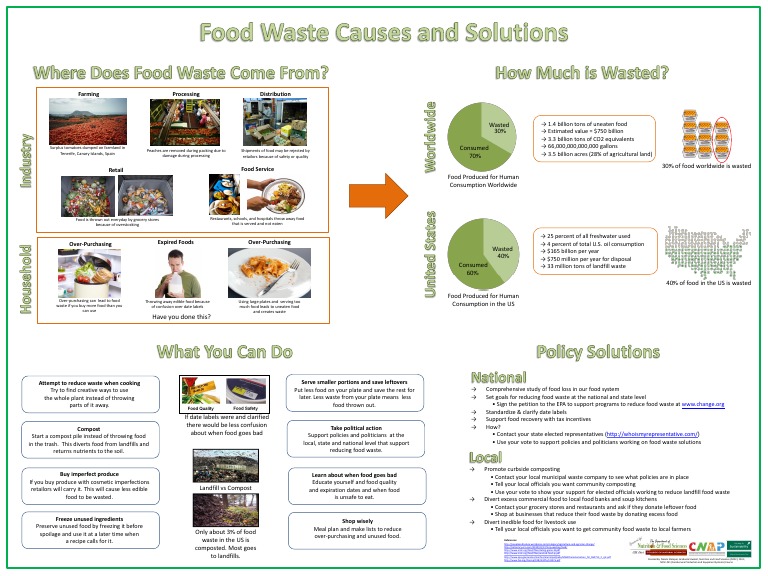 Food Waste Poster Assignment | PDF | Foods | Agriculture