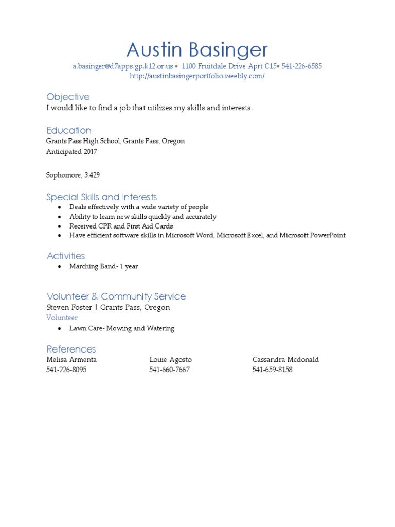 Austin Basinger Resume and Skills Summary | PDF