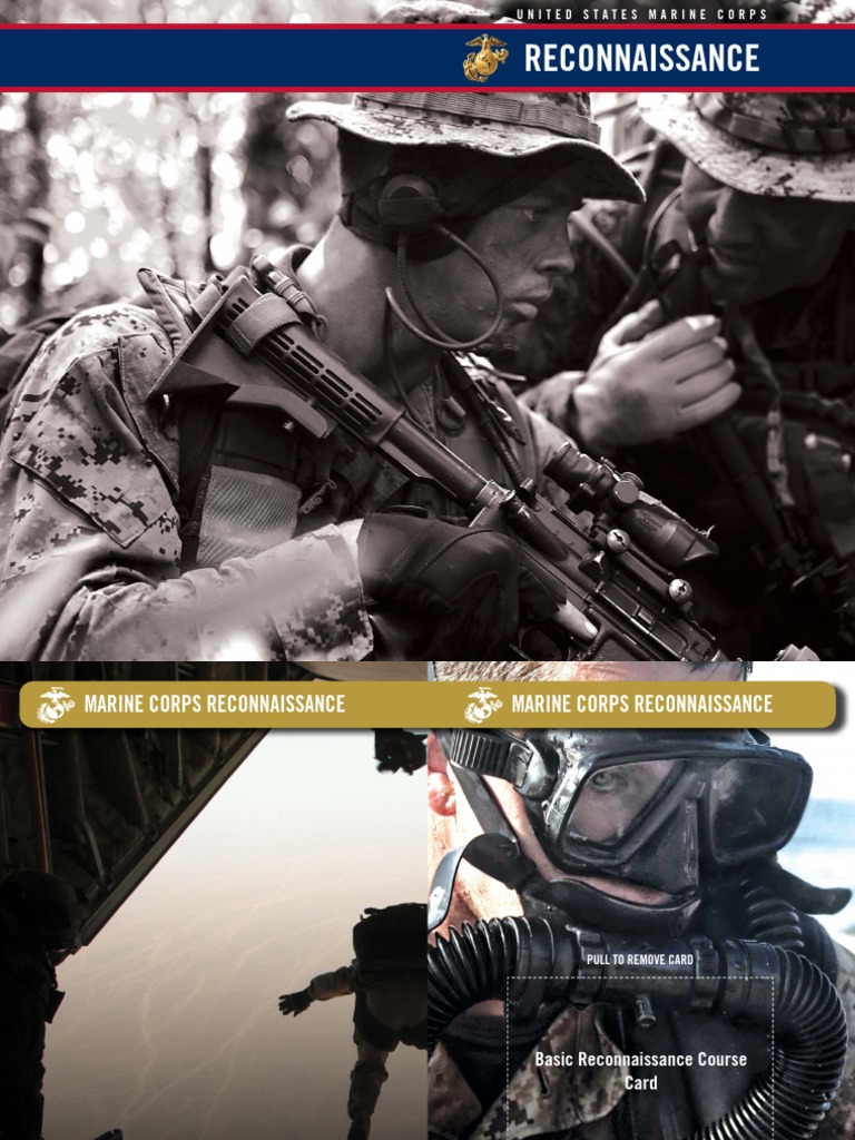 Force RECON | PDF | Carbohydrates | Foods
