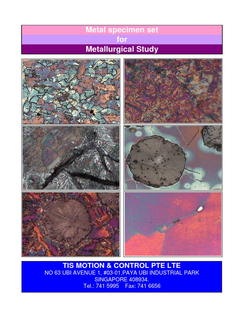 Microstructure of Metal Materials | PDF | Heat Treating | Steel