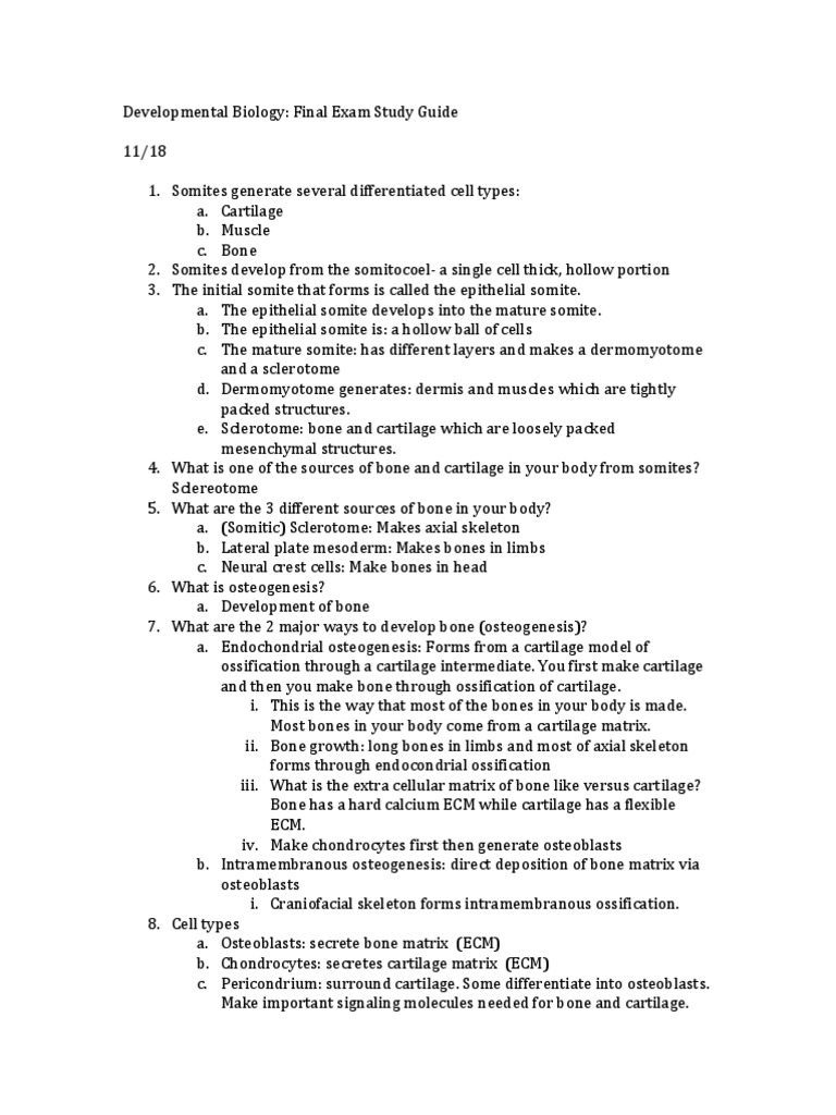 Muscle and Bone Development Overview | PDF | Osteoblast | Cellular ...