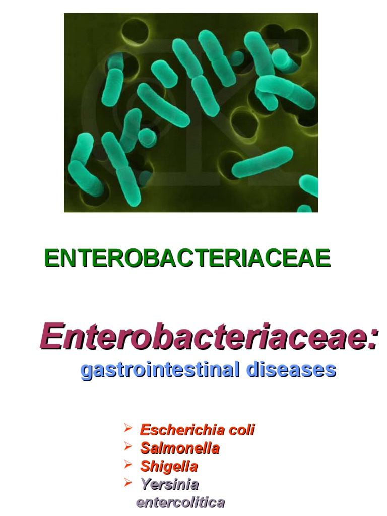 ENTEROBACTERIACEAE | PDF | Salmonella | Escherichia Coli