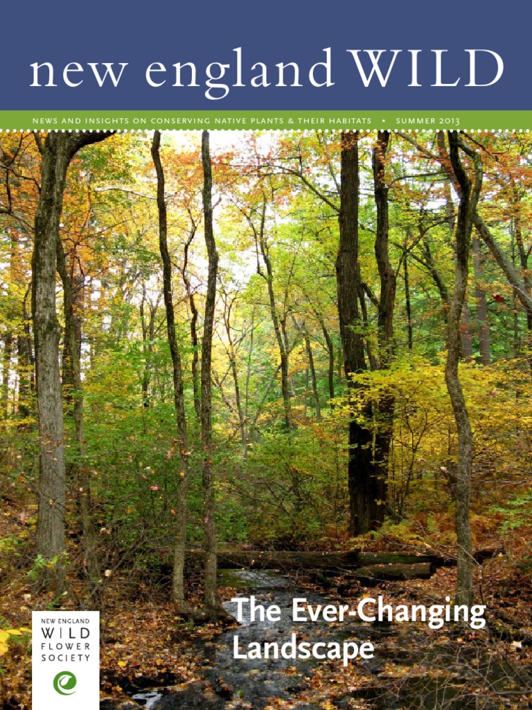 Volume 6 No. 1 Summer 2013 New England WILD | PDF | Ecology ...