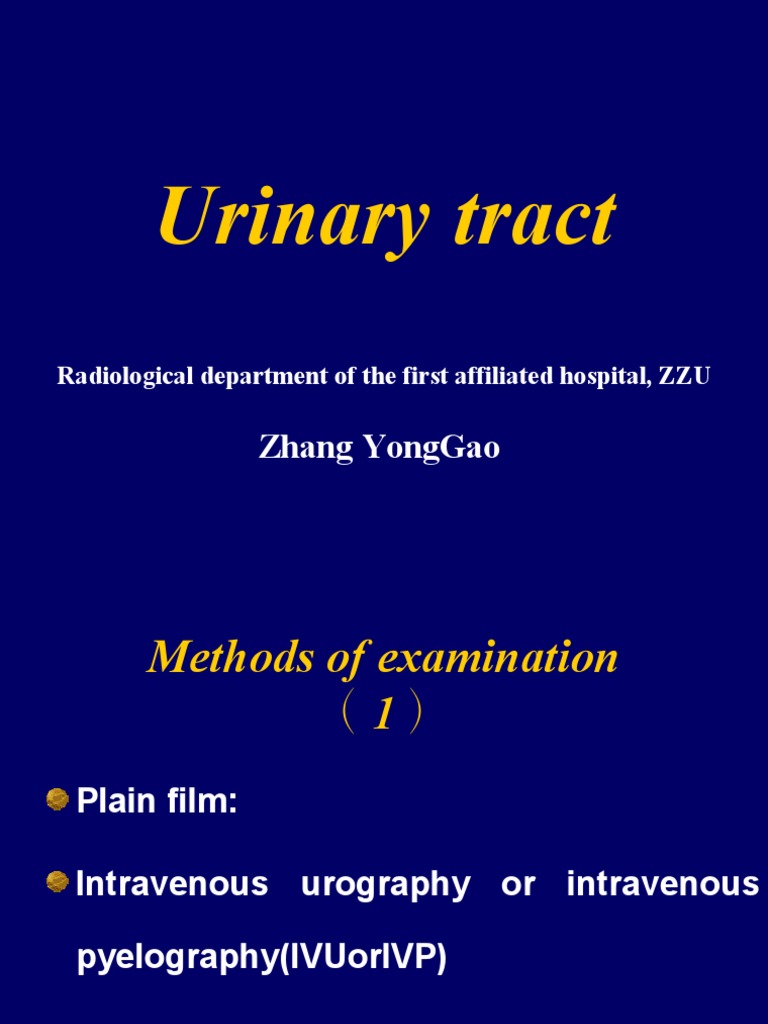 Radiology of The Urinary System | PDF | Kidney | Ct Scan