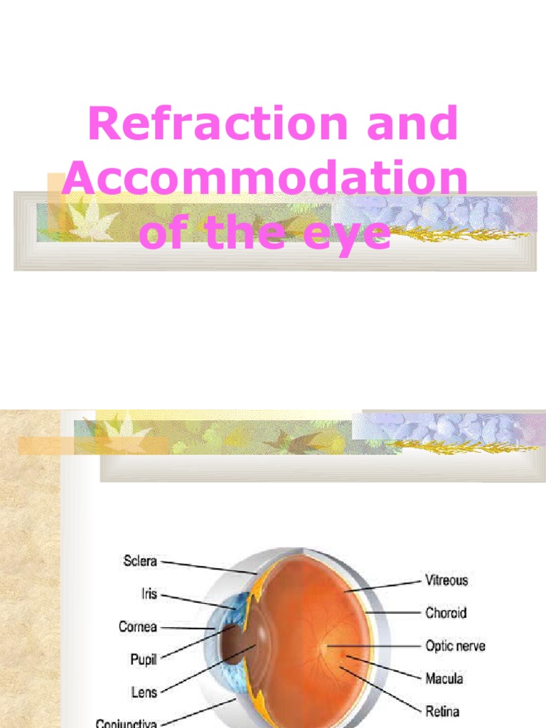 Refraction and Accommodation | PDF | Human Eye | Glasses