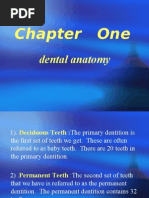 Dental Anatomy: Teeth Nomenclature & Numbering | PDF | Dental Anatomy ...