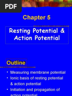 Metaneuron Manual | PDF | Inhibitory Postsynaptic Potential | Membrane ...