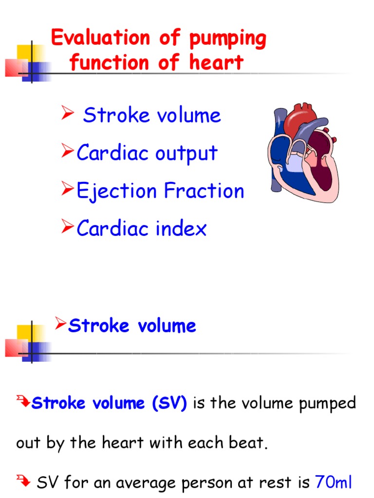 Functions of Heart | PDF