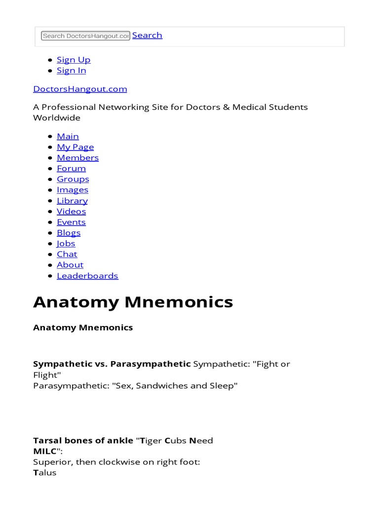 Anatomy Mnemonics | PDF | Common Carotid Artery | Arm