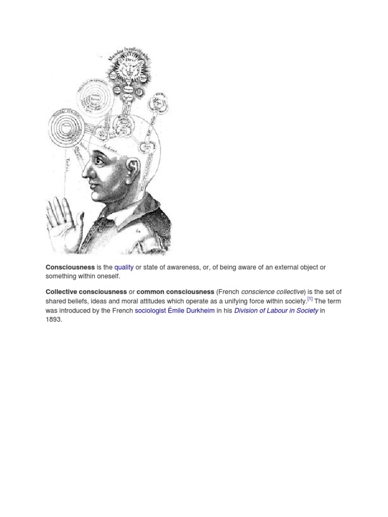 Consciousness Is The: or State of Awareness, Or, of Being Aware of An ...