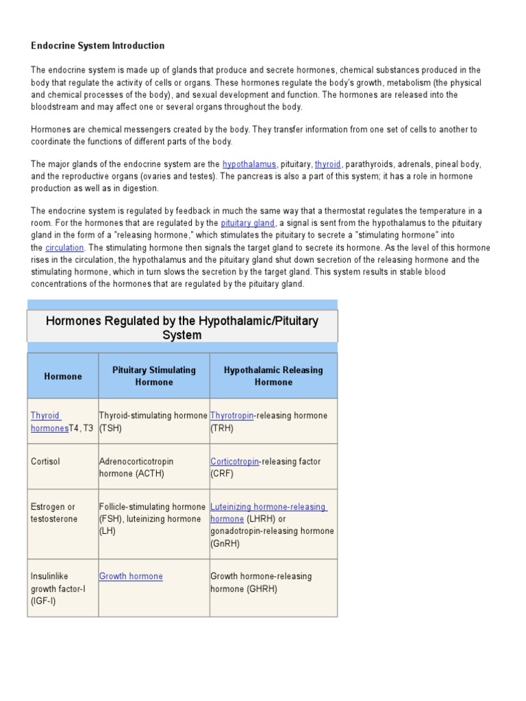 Endocrine System Introduction | PDF | Endocrine System | Hormone