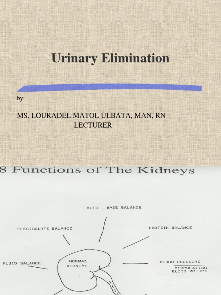 Urination Elimination - Lecture | PDF | Urination | Urinary Bladder
