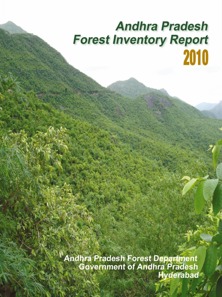 Forest Inventory Report | PDF | Geomatics | Geographic Information System