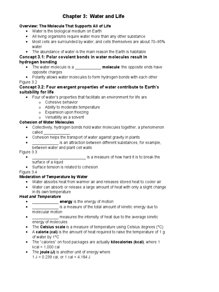 Chapter 3 Handout | PDF | Properties Of Water | Molecules