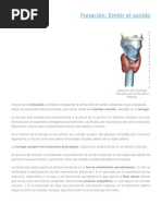 Análisis de Formantes en Vocales | PDF | Vocal | Densidad espectral