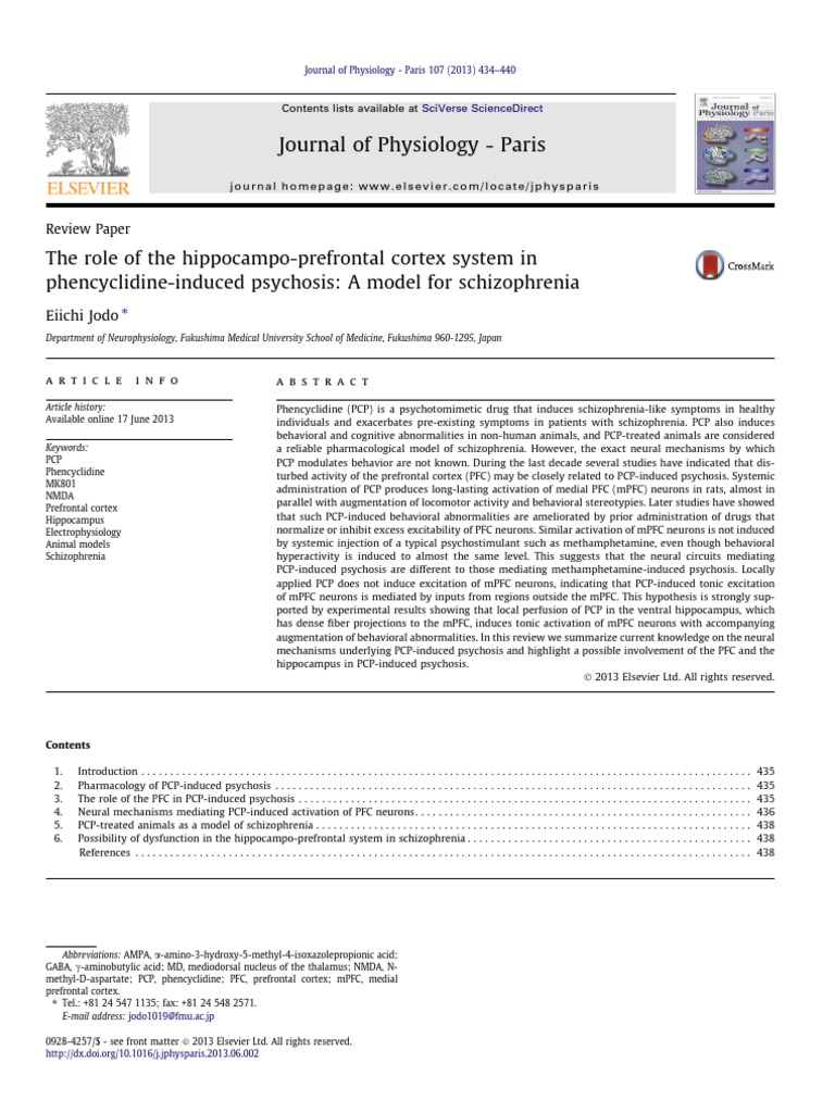 PCP Model | Download Free PDF | Hippocampus | Phencyclidine