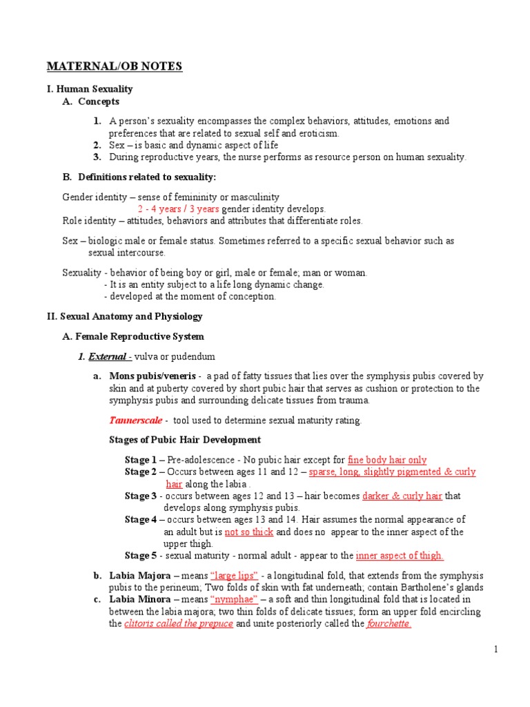 Maternal/Ob Notes: 2 - 4 Years / 3 Years | PDF | Menstrual Cycle ...
