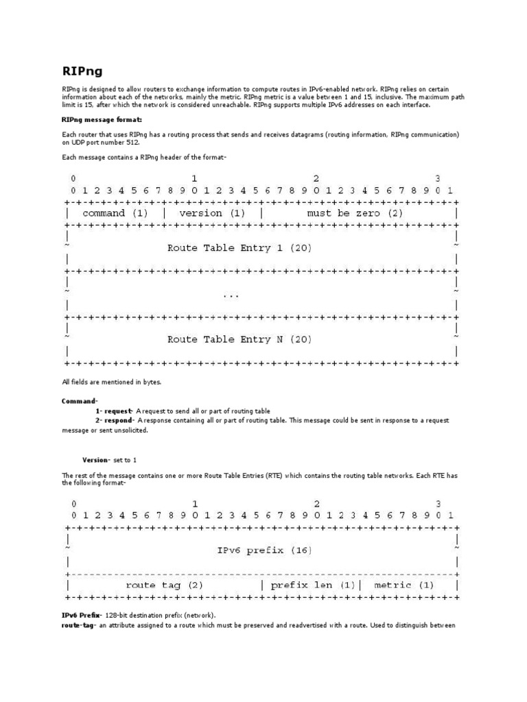 Ripng Message Format | Download Free PDF | I Pv6 | Routing
