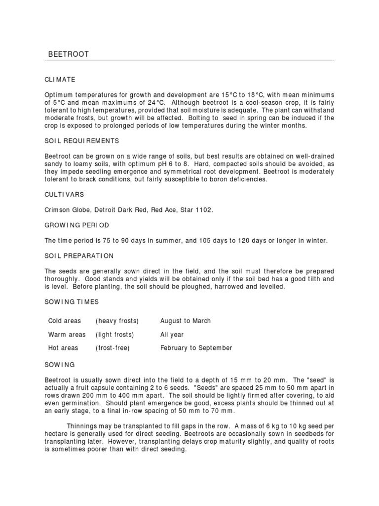 Beetroot | PDF | Sowing | Soil Fertility
