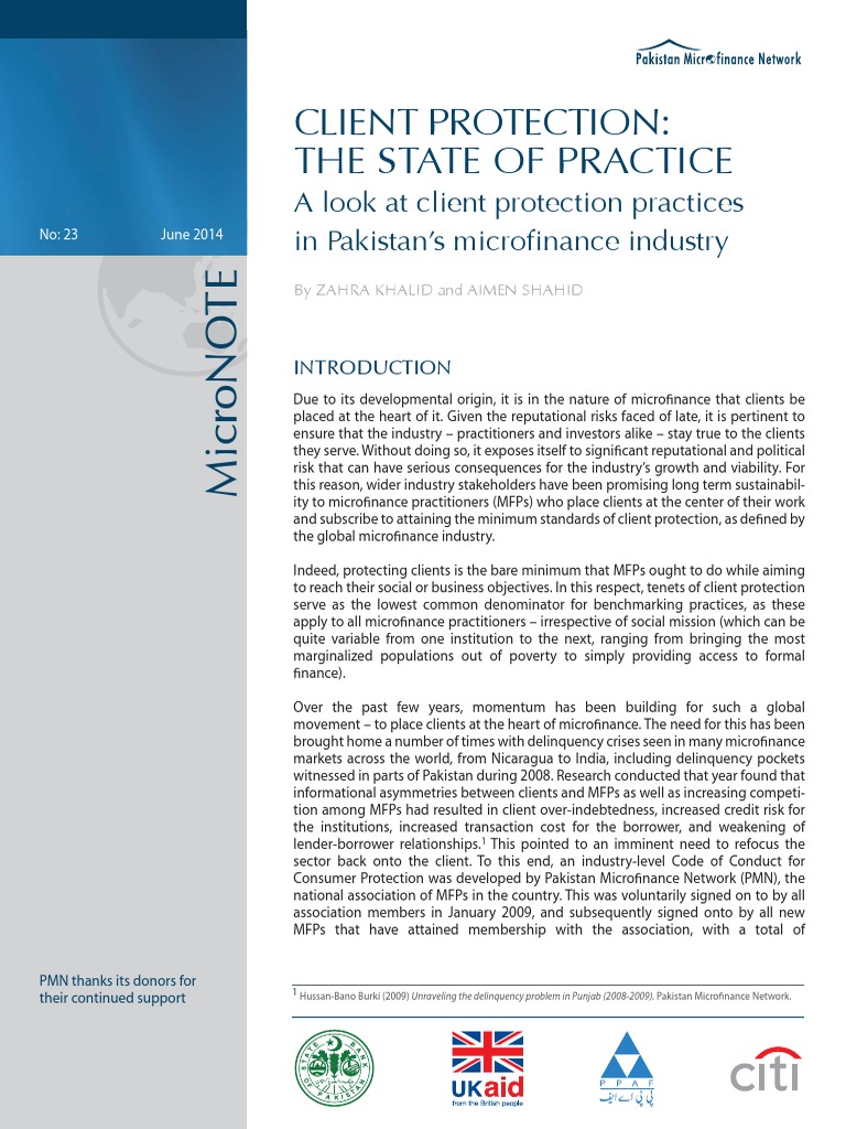 MicroNOTE 23 Client Protection - The State of Practice | PDF ...