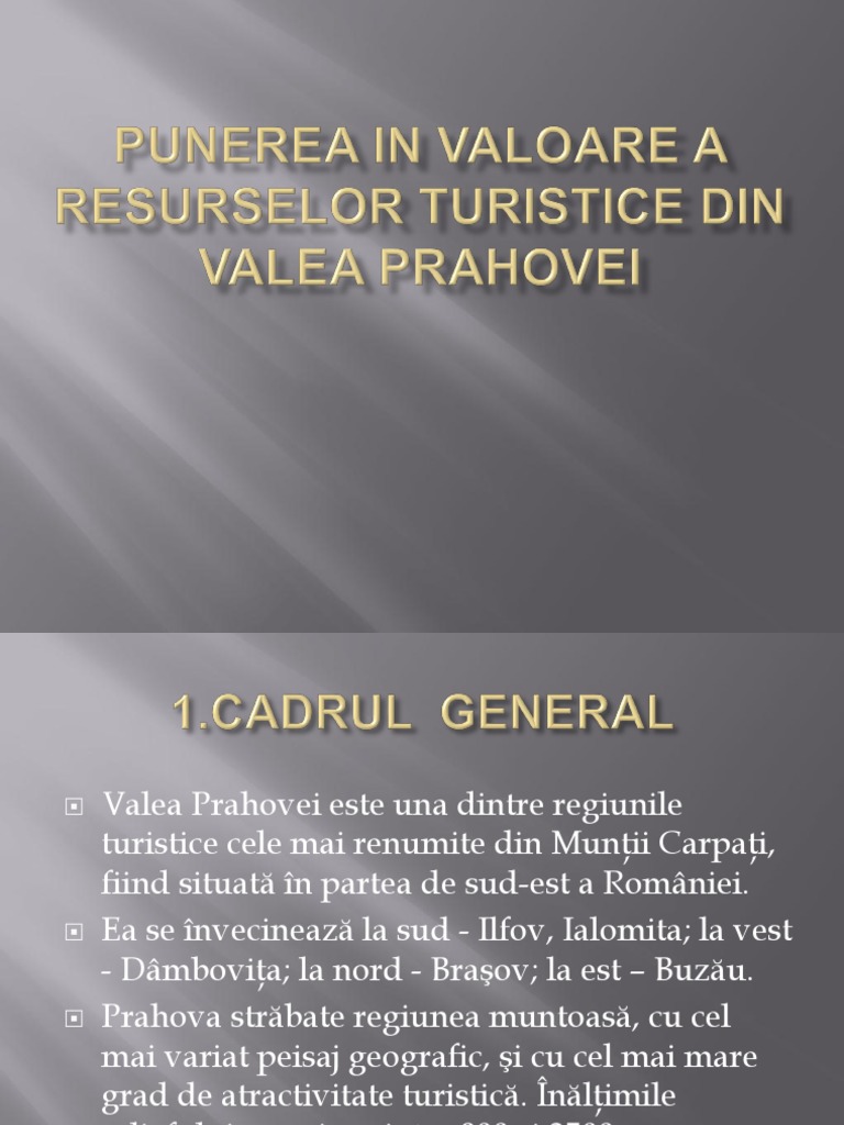 Power Point Licenta | PDF