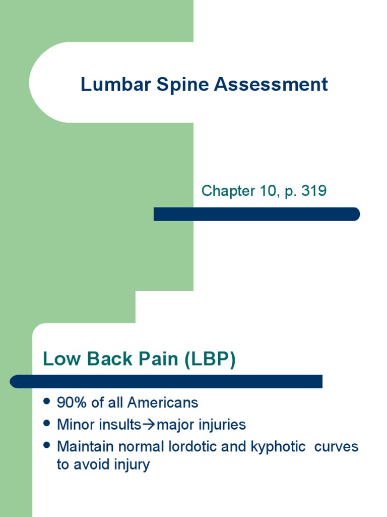 Lumbar Spine Assessment Techniques | PDF | Anatomical Terms Of Motion ...