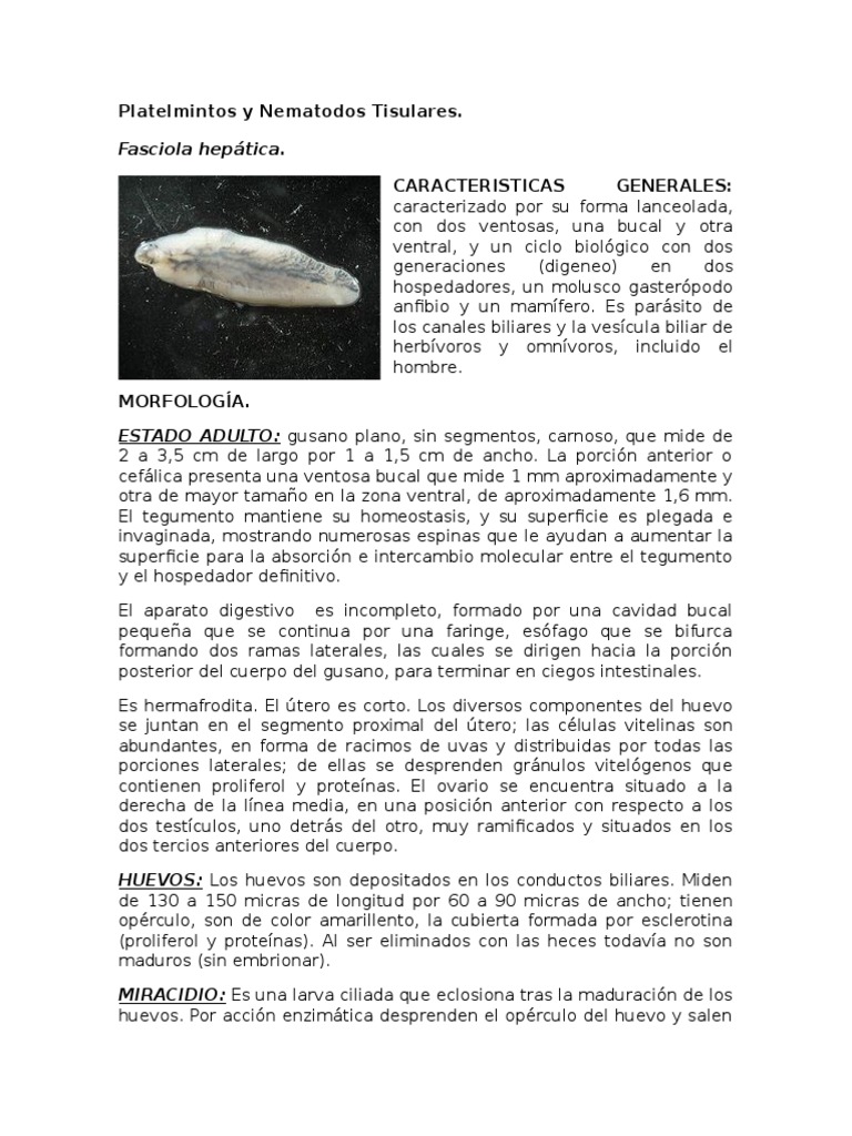 Platelmintos y Nematodos Tisulares | PDF | Zoología | Bienestar Platelmintos y Nematodos Tisulares | PDF | Zoología | Bienestar