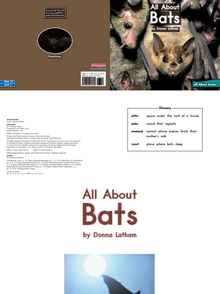 All About Bats | PDF | Bat | Nature