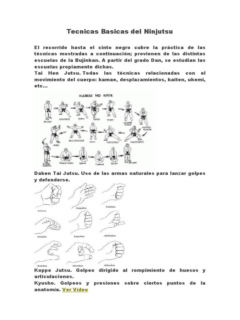 Técnicas Básicas del Ninjutsu | PDF