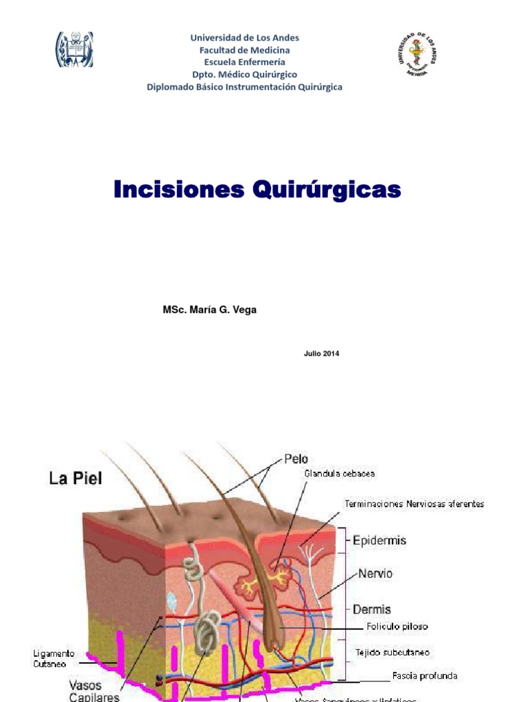 Tipos y Clasificación de Incisiones Quirúrgicas | PDF | Herida | Piel