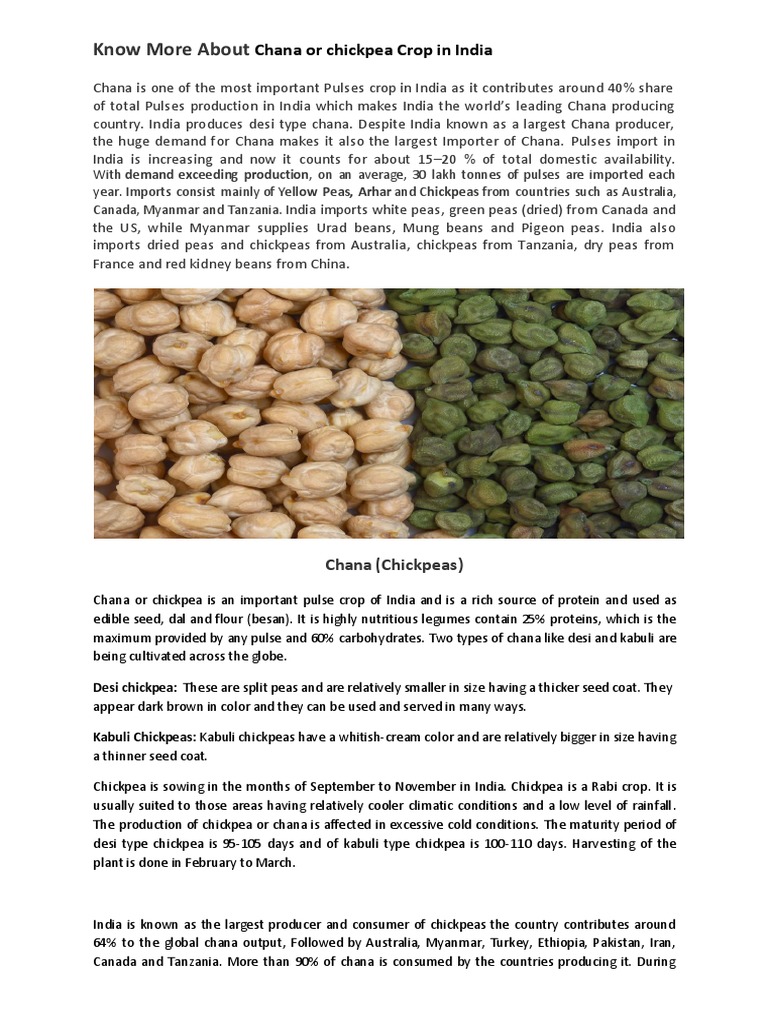 Know More About Chana or Chickpea Crop in India | Chickpea | Legume