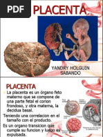 Mecanismo de Schultze | PDF | Placenta | Parto