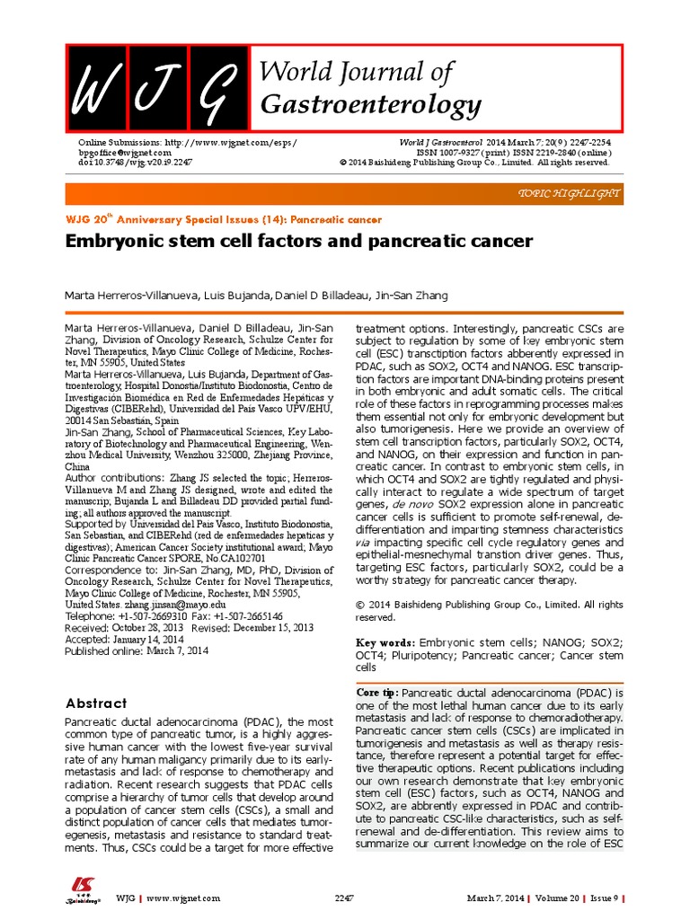 Pancreatic Cancer Stem Cells | PDF | Cellular Differentiation | Cell Potency