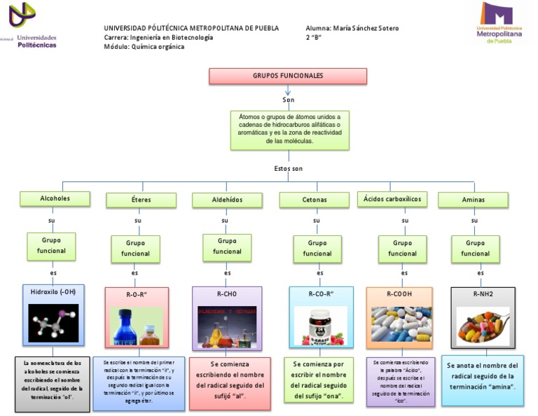 Mapa Conceptual de Los Grupos Funcionales | PDF
