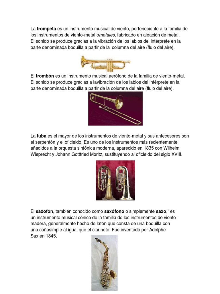 Instrumentos Musicales: Tipos y Características | PDF | Instrumentos de ...