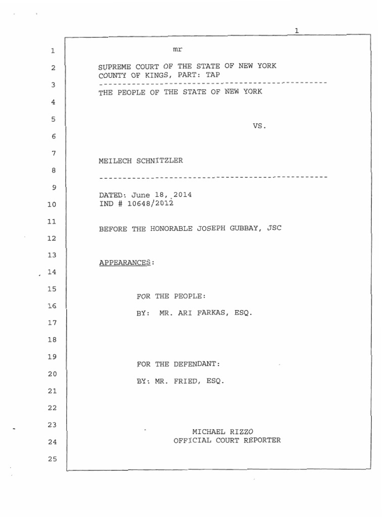 Schnitzler Sentencing Minutes | PDF | Plea Bargain | Plea