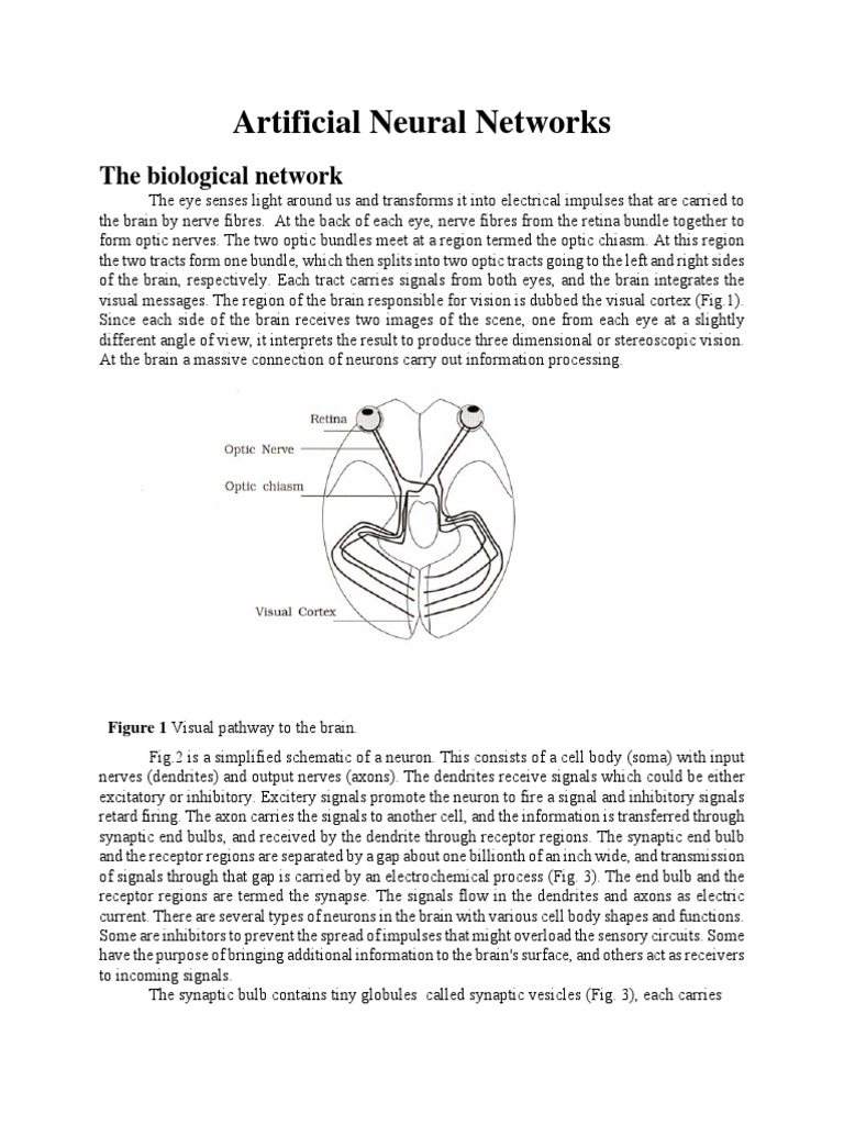 Artificial Neural Networks Basics | PDF | Neuron | Brain