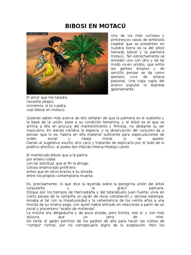 Bibosi en Motacú | PDF | Nube | Agua