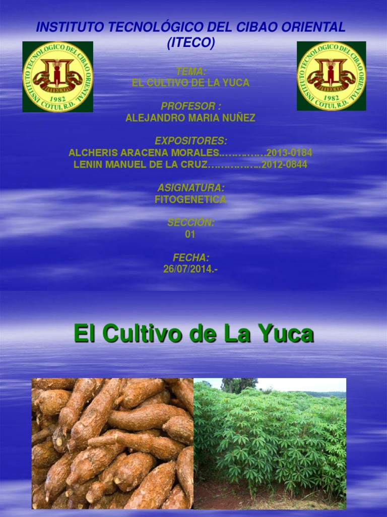 El Cultivo de La Yuca | PDF | República Dominicana | Agricultura