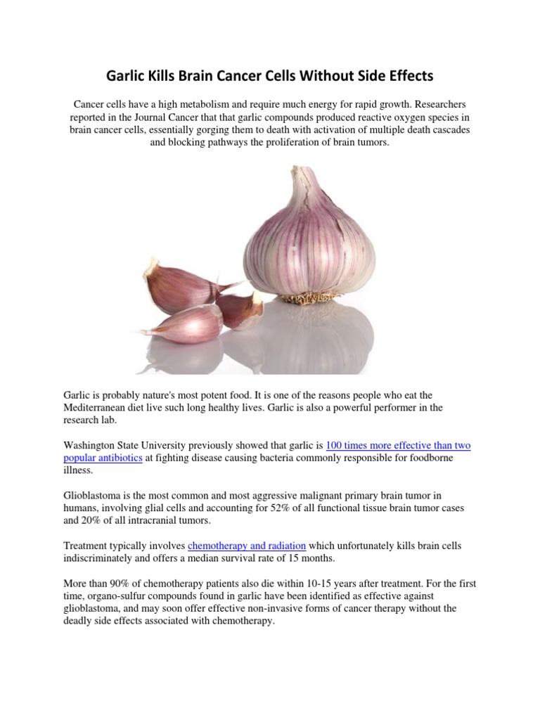 Garlic Kills Brain Cancer Cells Without Side Effects | PDF | Brain ...