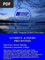 HOP Principles in Safety Management | PDF | Safety | Human Nature